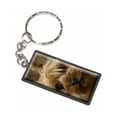 Yorkshire Terrier Yorkie Dog Keychain Key Chain Ring - Walmart.com