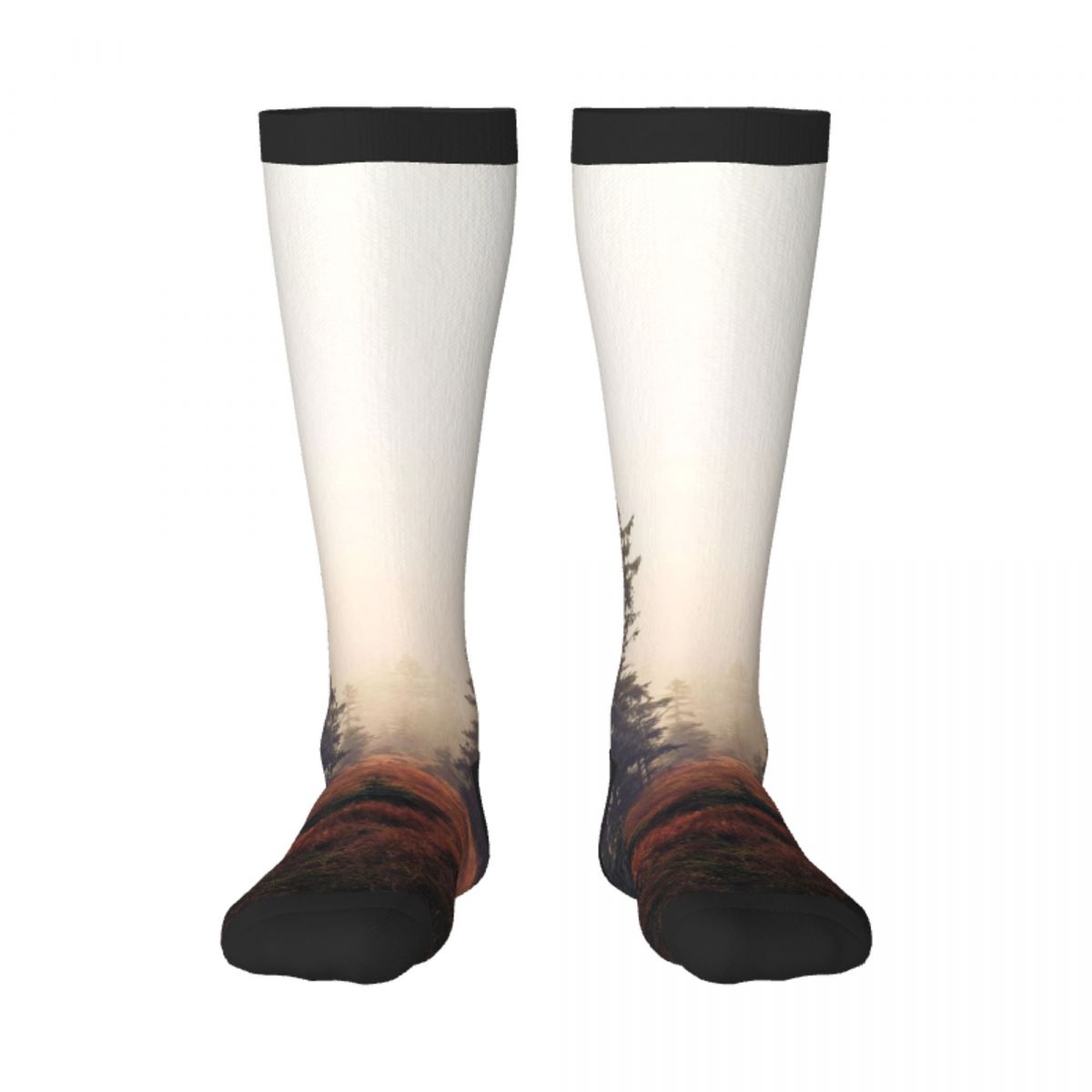 You Are Here // Wild Romantic Misty Fairytale Wilderness Forest With ...