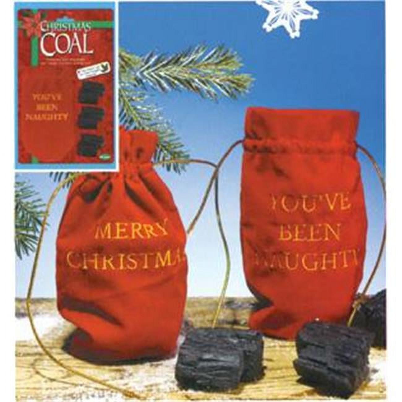 You Are Naughty Bag of Coal Adult Halloween / Christmas Accessory ...