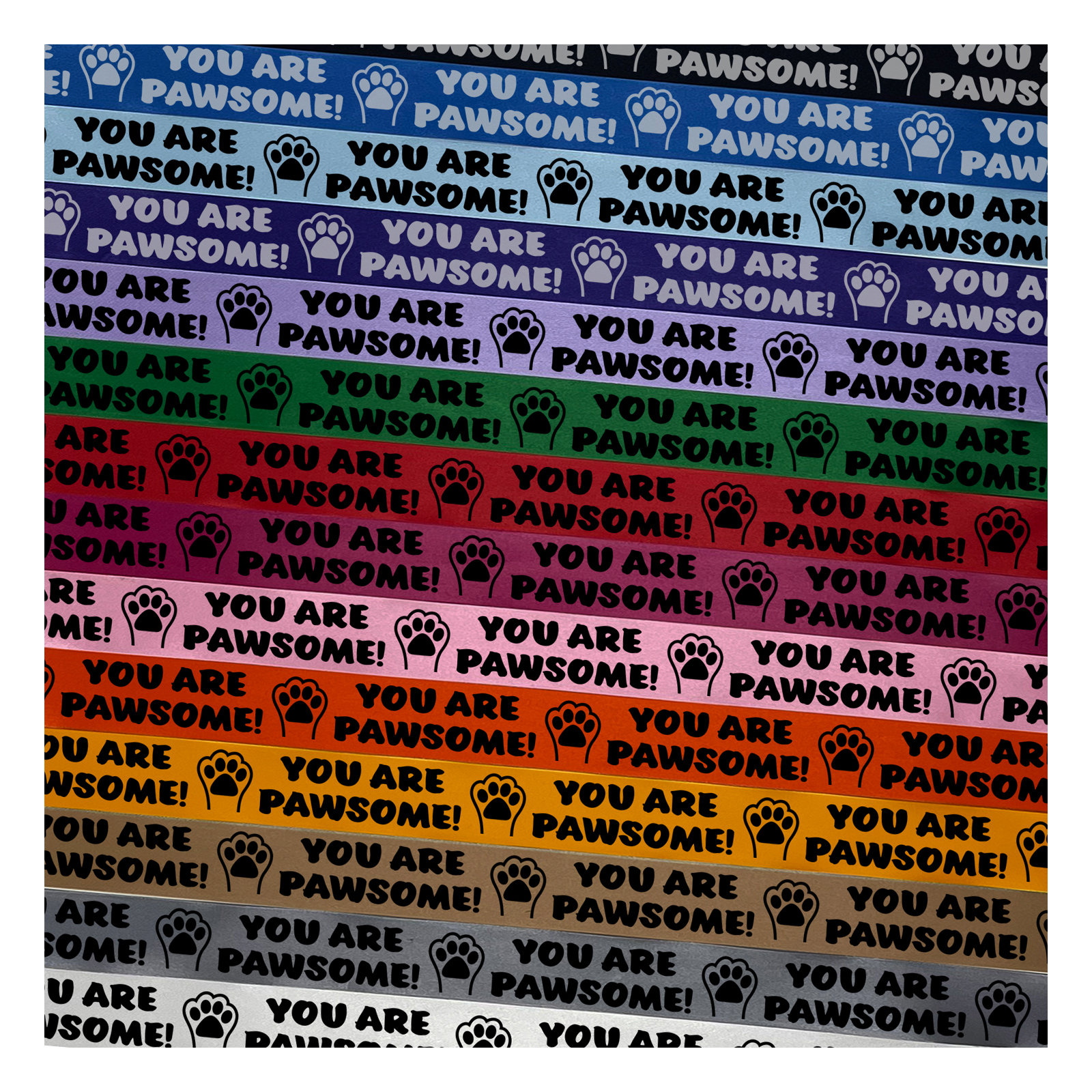 You Are Pawsome Awesome Teacher School Motivation Satin Ribbon for Gift ...