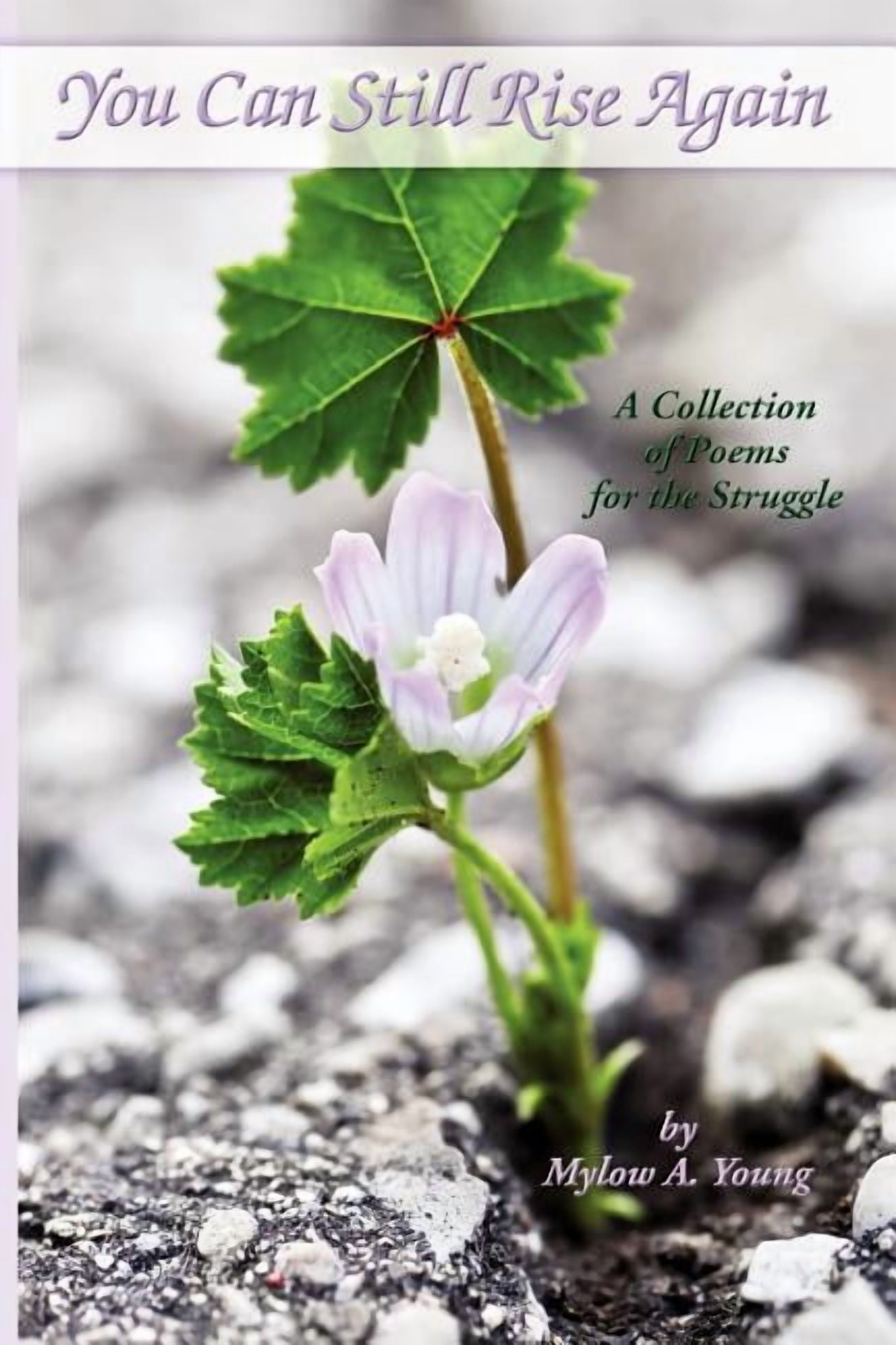 You Can Still Rise Again : A Collection of Poems for the Struggle ...