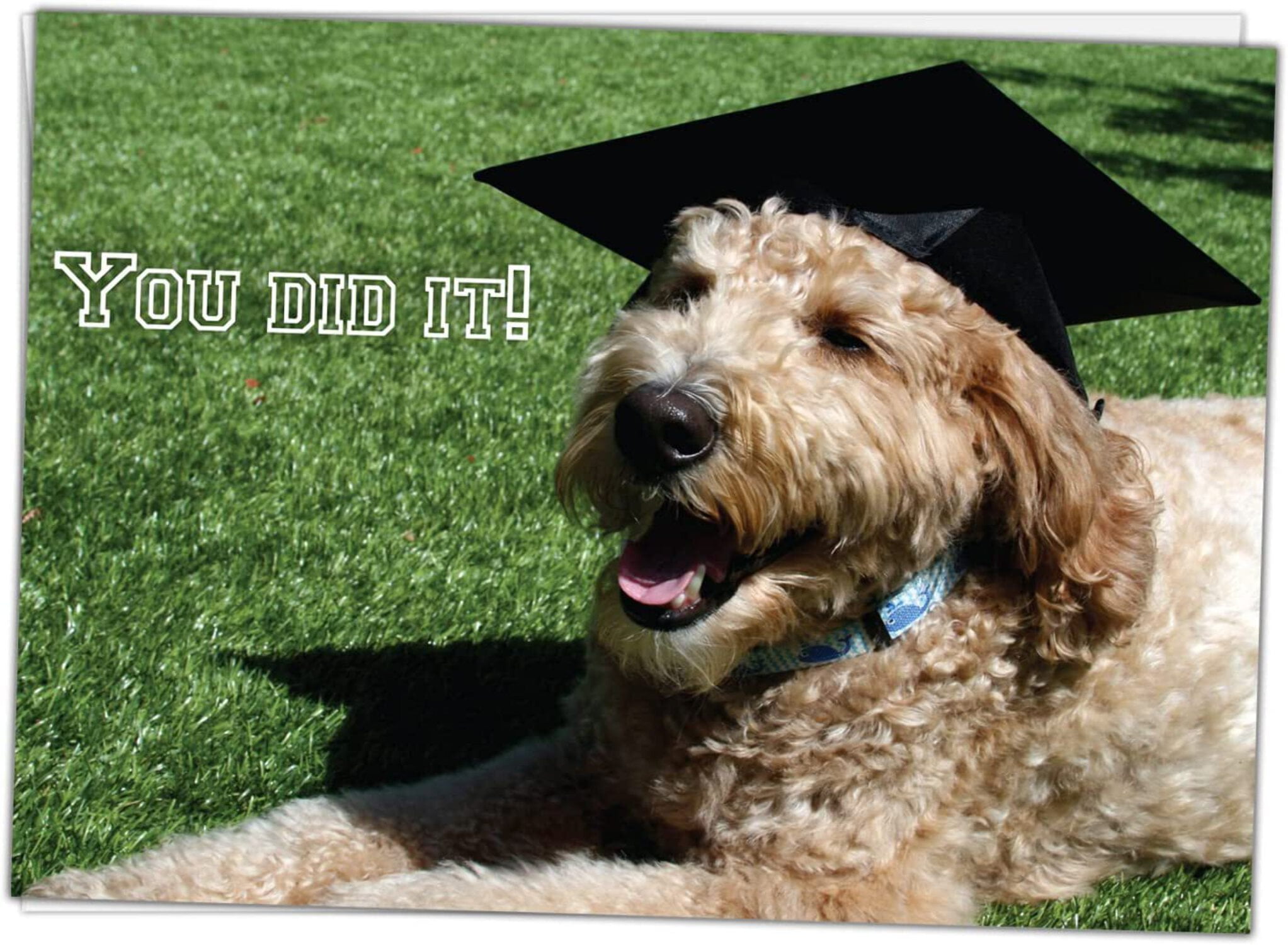 You Did It! Con-Grad-ulations Greeting Card - Walmart.com
