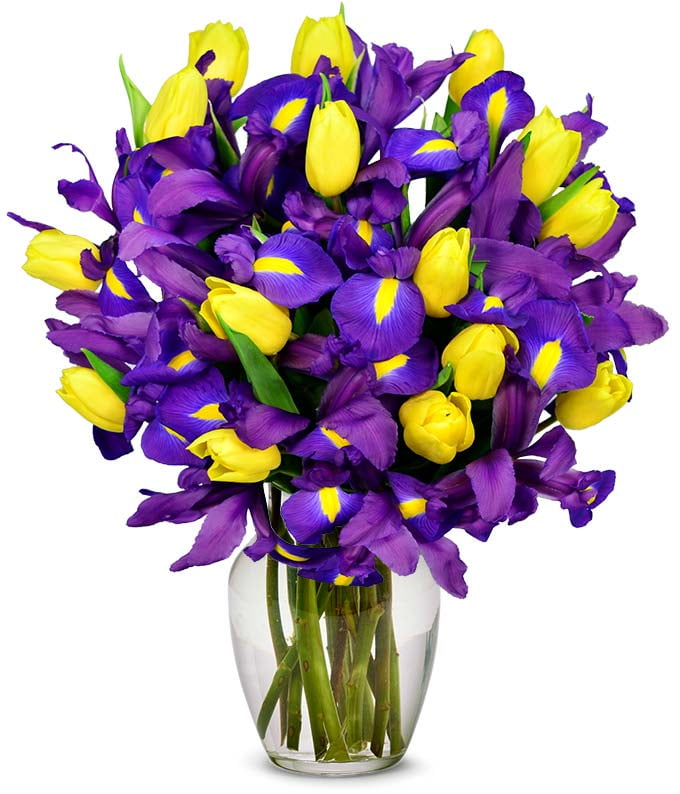 From You Flowers - Sunny Tulip and Iris Bouquet - Deluxe for Birthday, Anniversary, Get Well ...