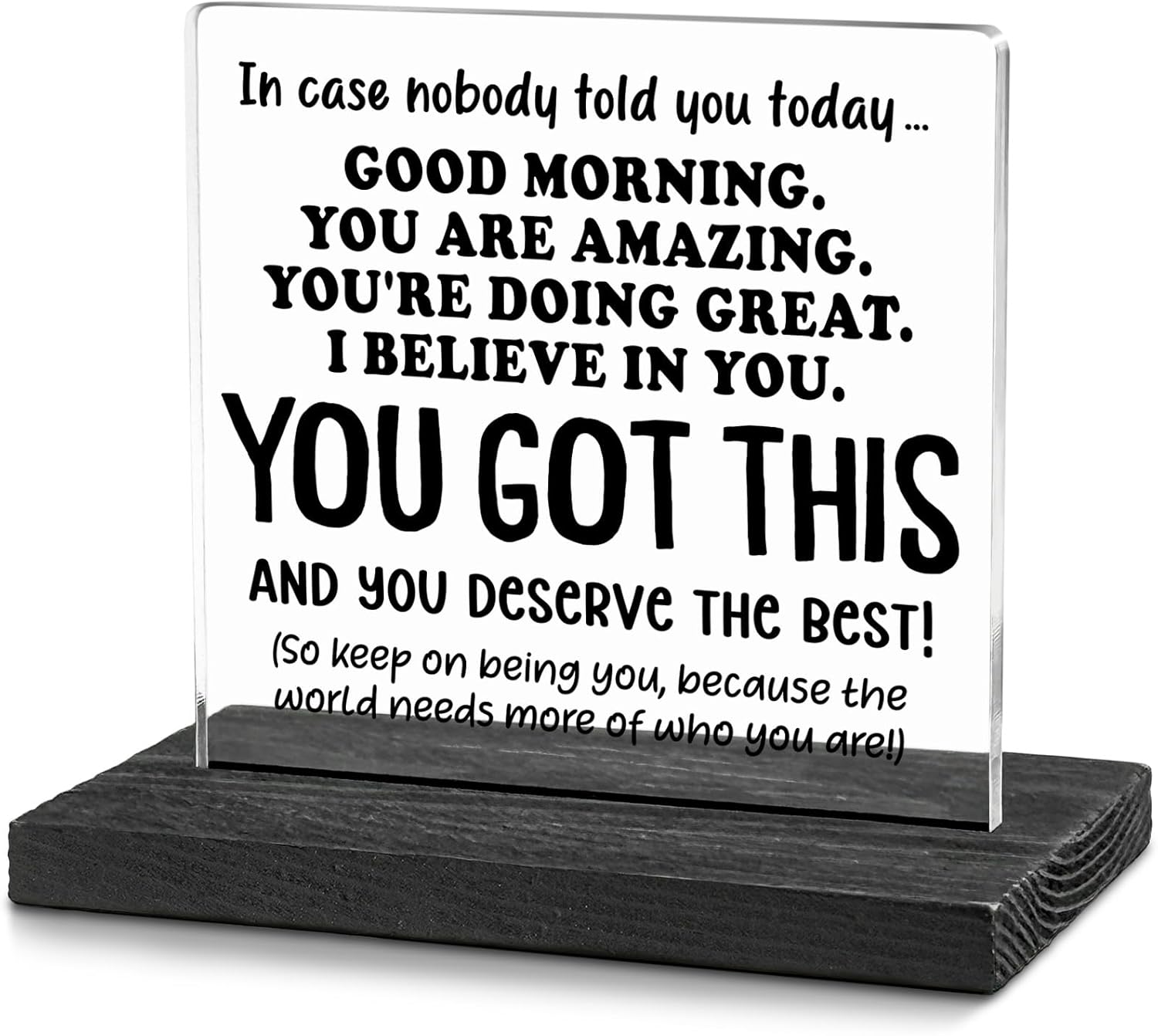 You Got This Desk Plaque spirational Home Office Desk Signs Coworkers ...