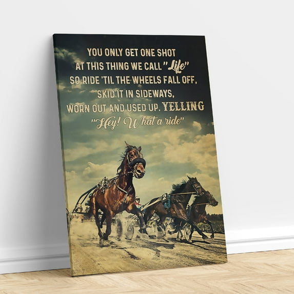 You Only Get One Shot At This Thing We Call Life Poster 16 x 24 Inch ...