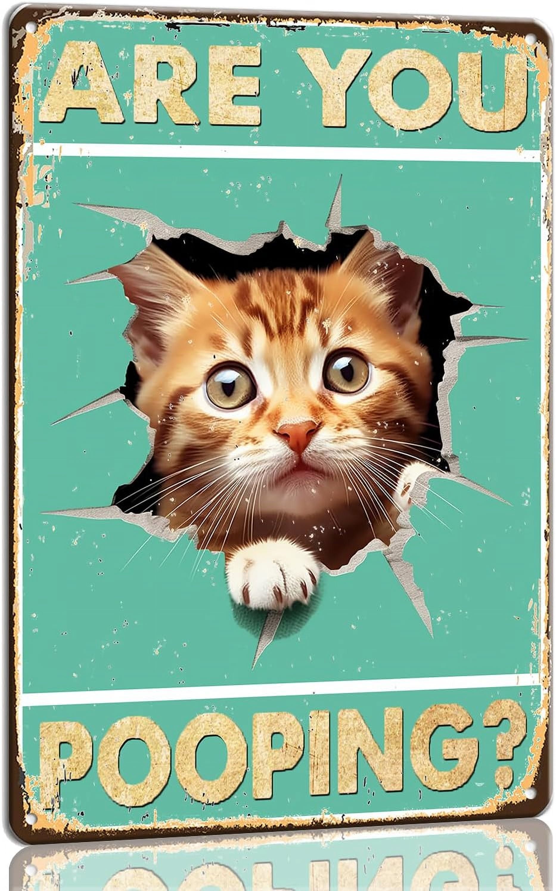 Are You Pooping Cat Metal Tin Signs-Metal Tin Signs Exquisite Wall Art ...
