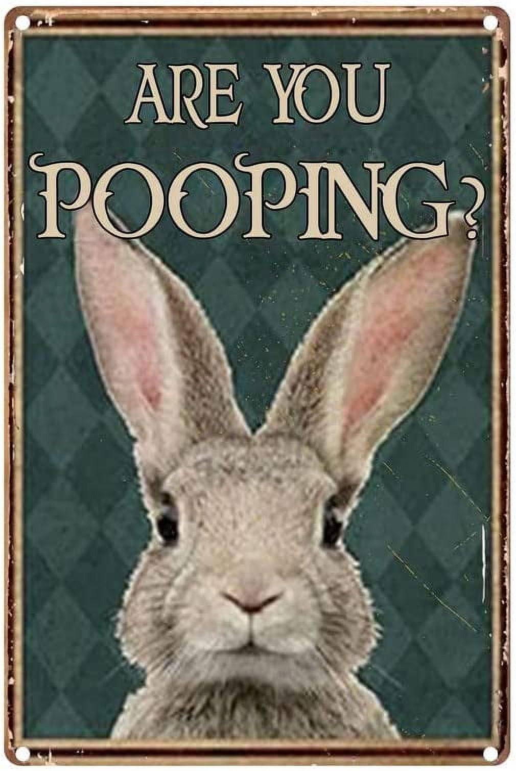 Are You Pooping? Metal Tin Signs- Exquisite Wall Art Decor ...