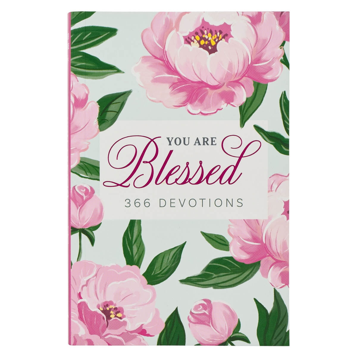 You are Blessed 366 Devotions for Women - Walmart.com