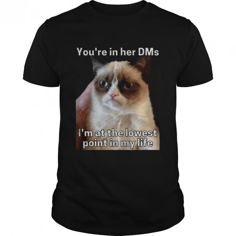 You’re In Her Dms I’m At The Lowest Point In My Life Cat Meme shirt ...