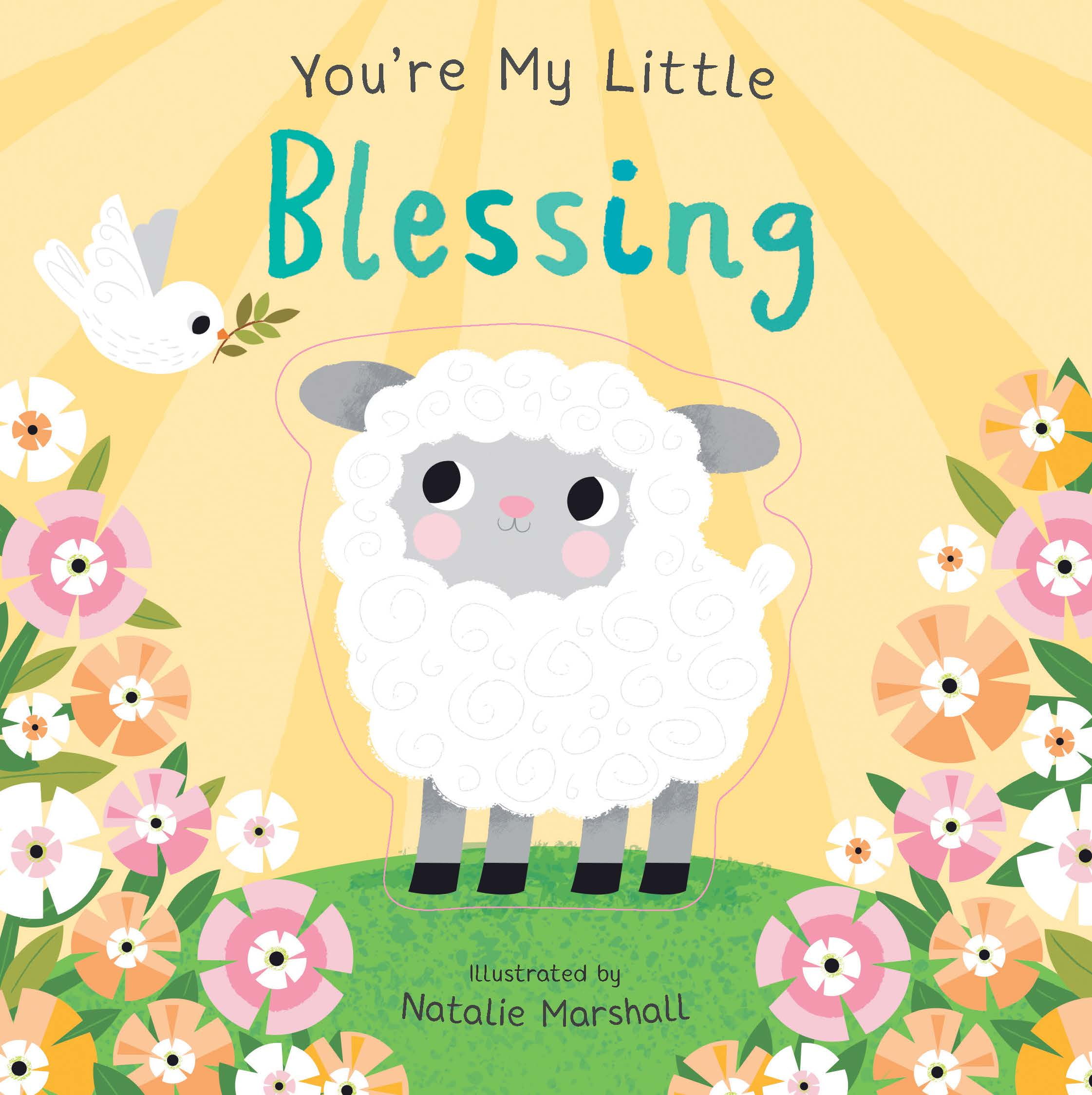 Nicola Edwards You're My Little Blessing Board Book Celebrate Love for ...
