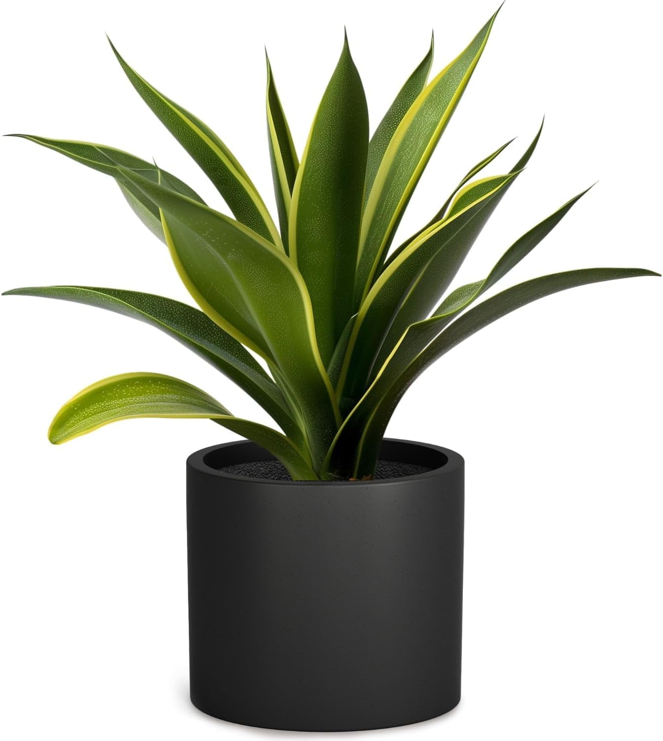 YouLLin Large 12 Inch Plant Pot with Hidden Saucer - Premium ...