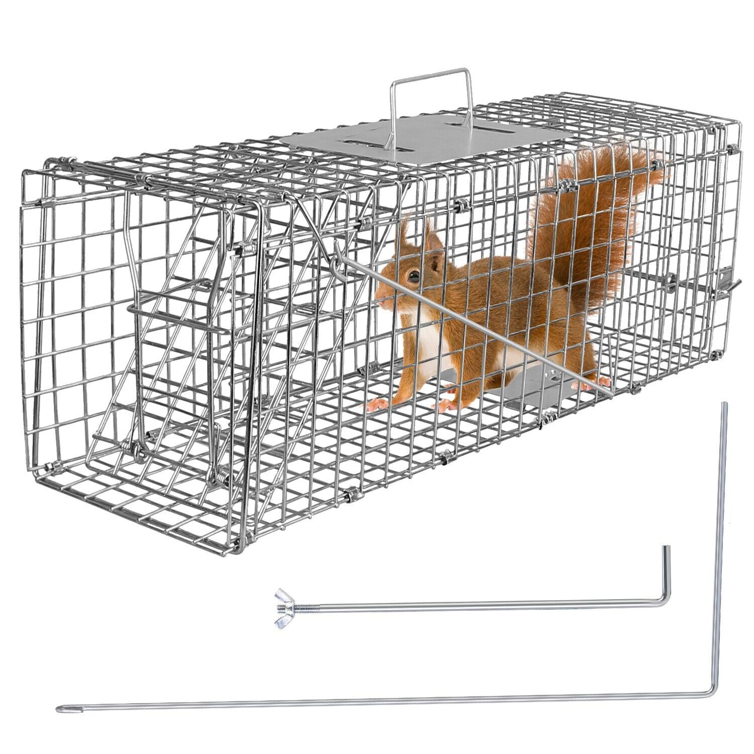 YouLoveIt Rat Trap Cage Humane Live Animal Trap Control Steel Cage for ...