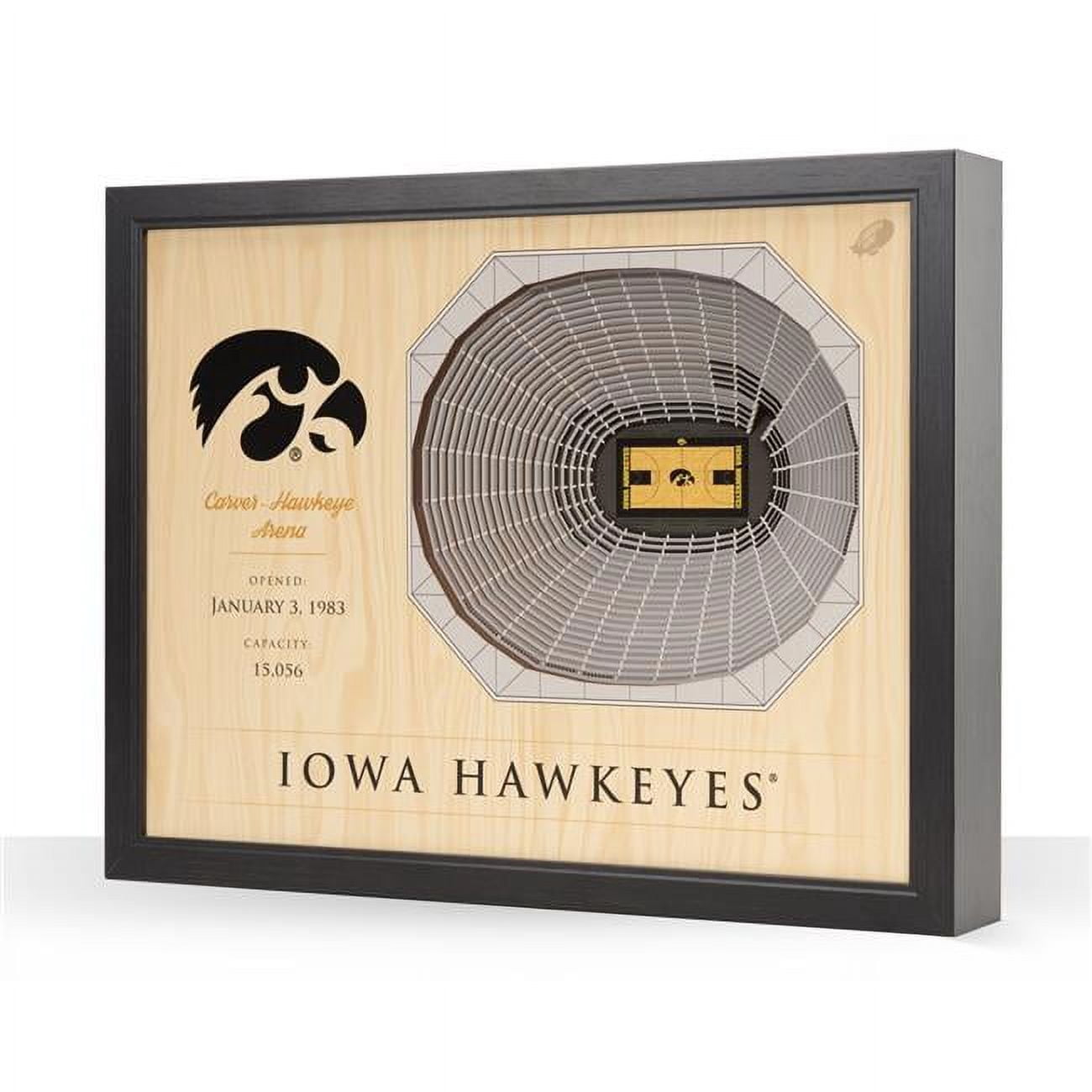 YouTheFan 4605943 NCAA Iowa Hawkeyes 25-Layer StadiumViews 3D Wall Art ...