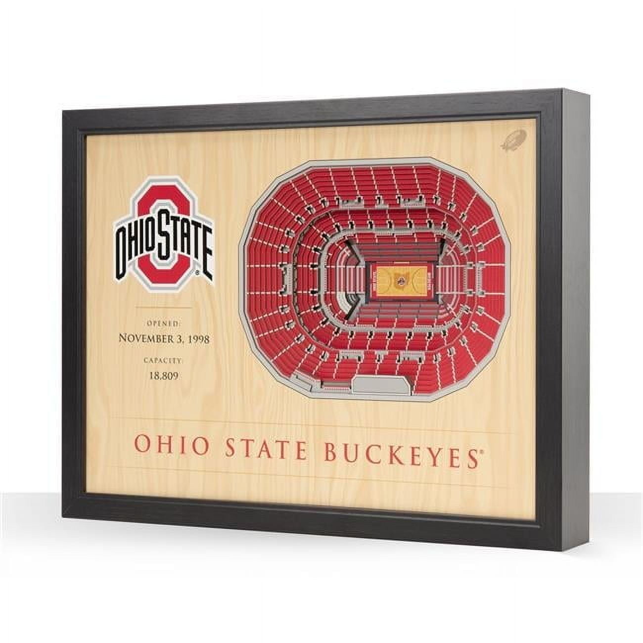 YouTheFan 4605974 NCAA Ohio State Buckeyes 25-Layer StadiumViews 3D ...
