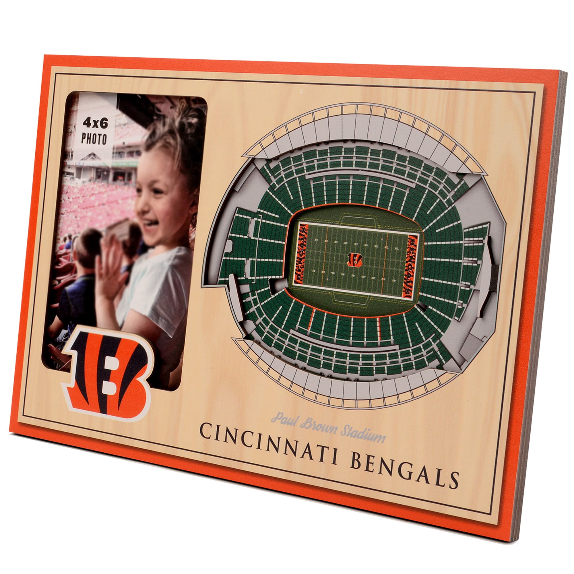 IDNA Cincinnati Bengals 3D StadiumViews Picture Frame - Walmart.com