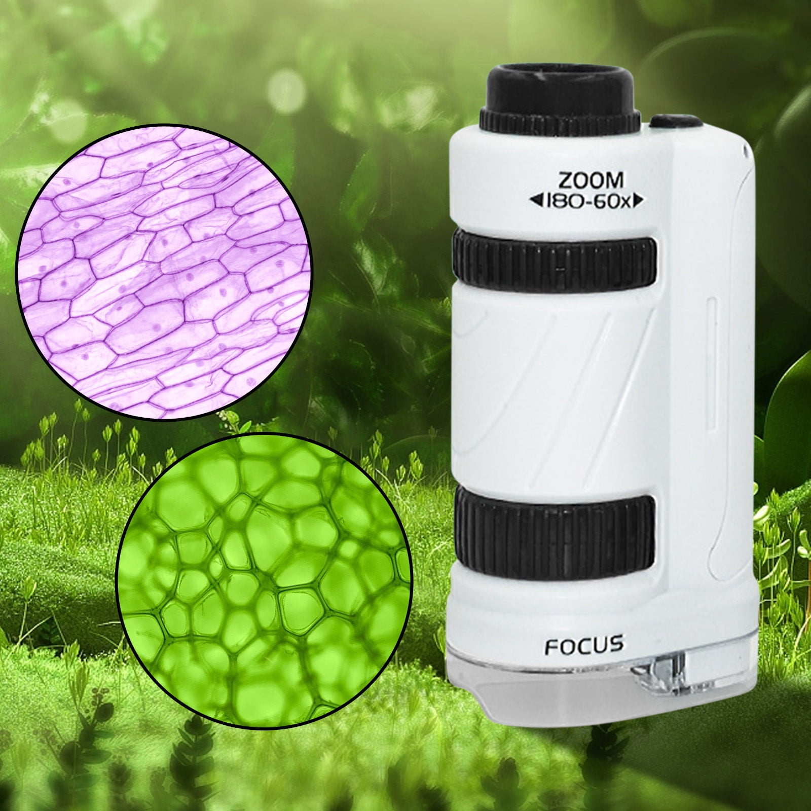 Young Age's Mini Microscope, Handheld Portable Scope, LED Illumination ...