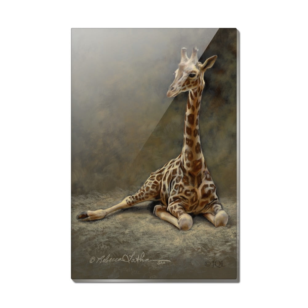 Young Baby Giraffe Sitting Rectangle Acrylic Fridge Refrigerator Magnet ...