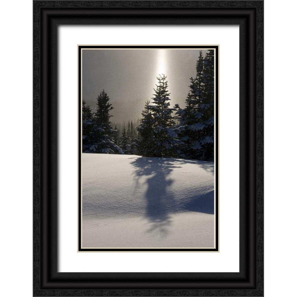 Young, Bill 13x18 Black Ornate Wood Framed with Double Matting Museum ...