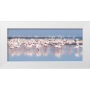 Namibia Walvis Bay