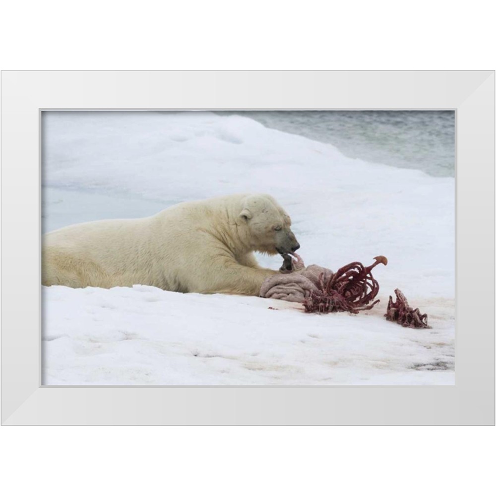 Young, Bill 18x13 White Modern Wood Framed Museum Art Print Titled ...