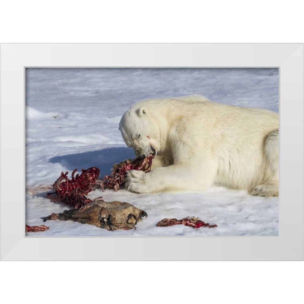 Young, Bill 18x13 White Modern Wood Framed Museum Art Print Titled ...