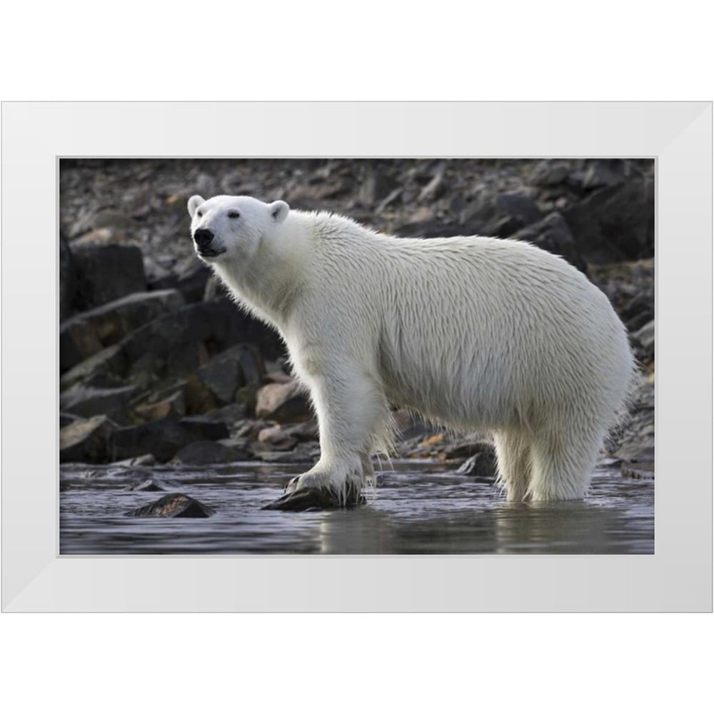 Young, Bill 18x13 White Modern Wood Framed Museum Art Print Titled ...