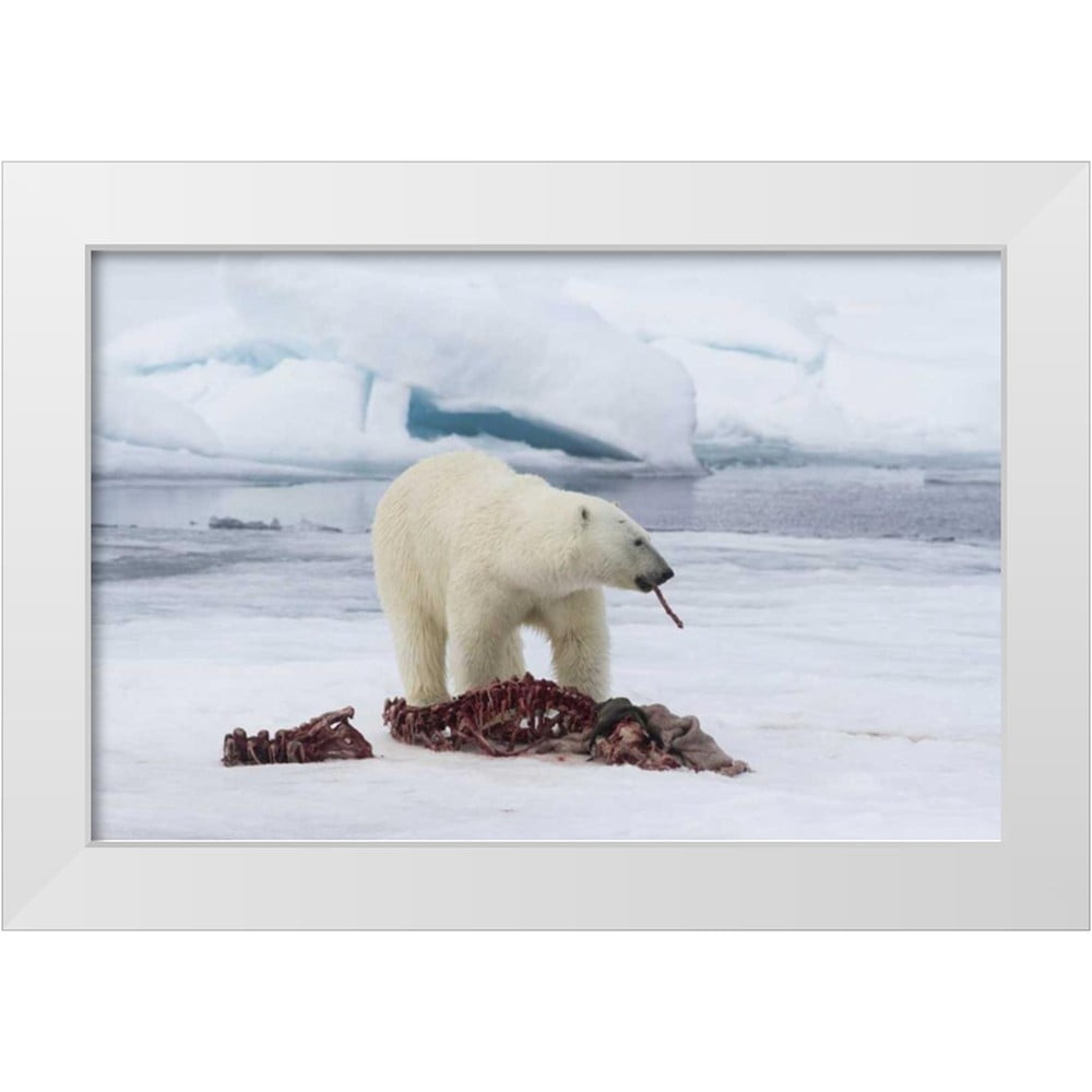 Young, Bill 24x17 White Modern Wood Framed Museum Art Print Titled ...