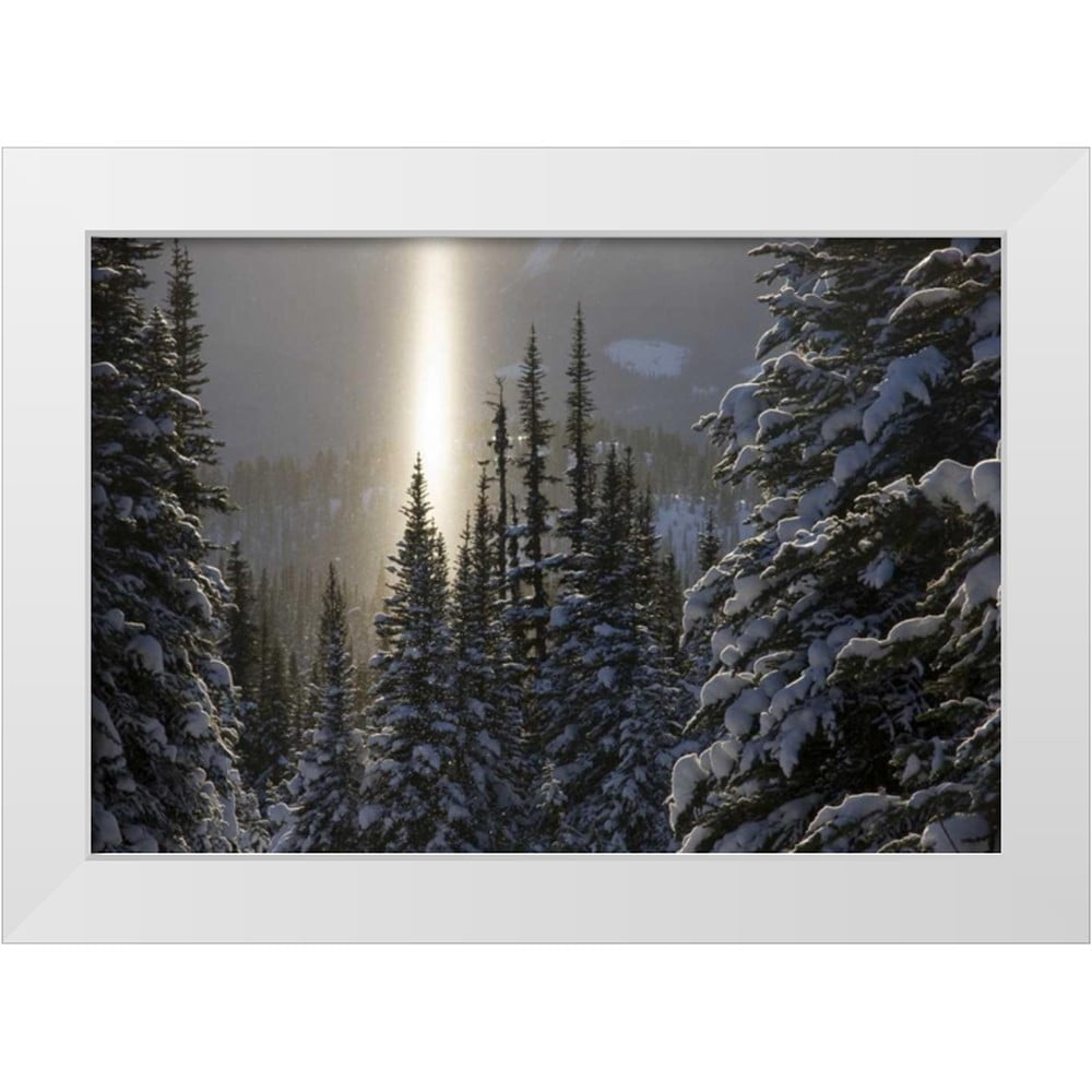 Young, Bill 24x18 White Modern Wood Framed Museum Art Print Titled ...
