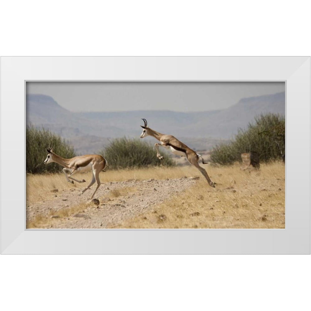 Young, Bill 32x20 White Modern Wood Framed Museum Art Print Titled ...