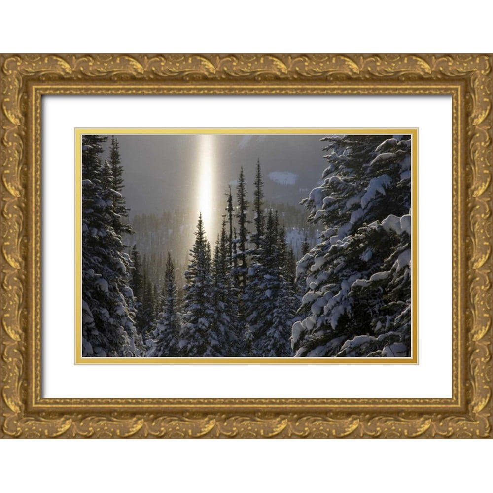 Young, Bill 32x23 Gold Ornate Wood Framed with Double Matting Museum ...