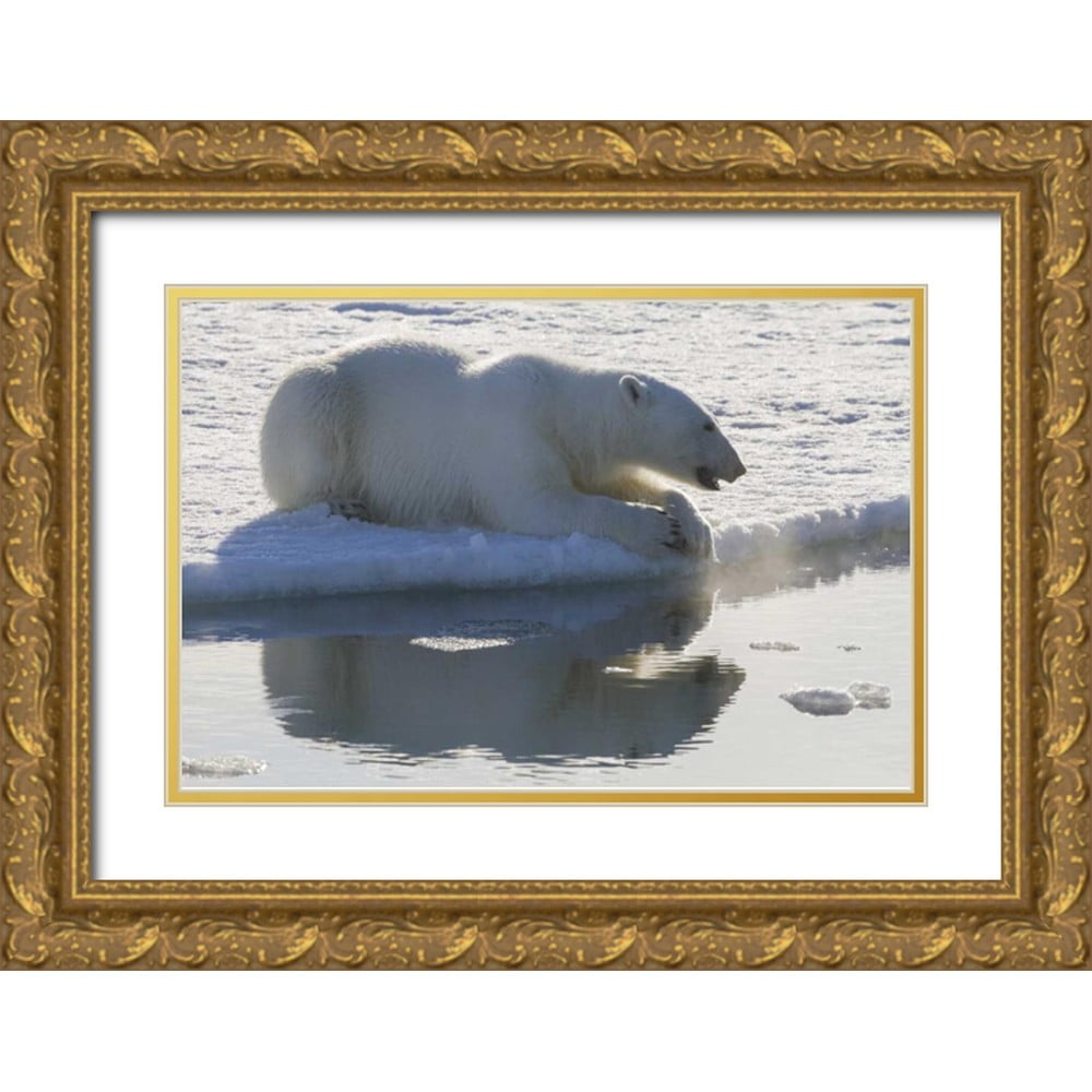 Young, Bill 32x23 Gold Ornate Wood Framed with Double Matting Museum ...