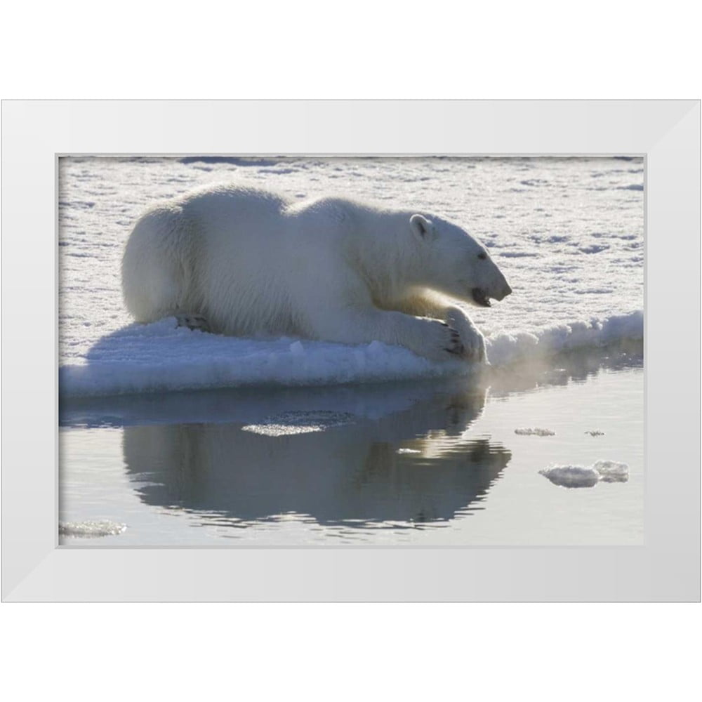 Young, Bill 32x23 White Modern Wood Framed Museum Art Print Titled ...