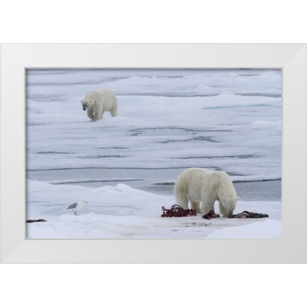 Young, Bill 32x23 White Modern Wood Framed Museum Art Print Titled ...