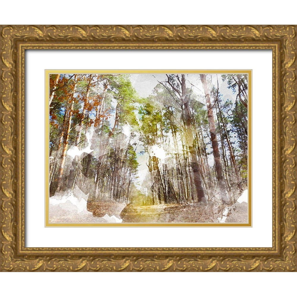 Young, Chamira 14x12 Gold Ornate Wood Framed with Double Matting Museum ...