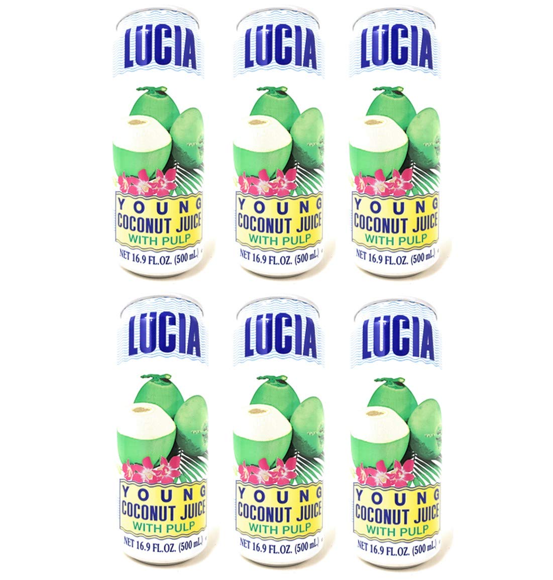 Young Coconut Juice with Pulp (6 Pack, Total of 101.4fl.oz) - Walmart.com