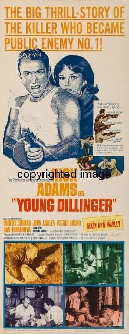 Young Dillinger Movie Poster Insert 14x36 Unframed, Age: Adults ...