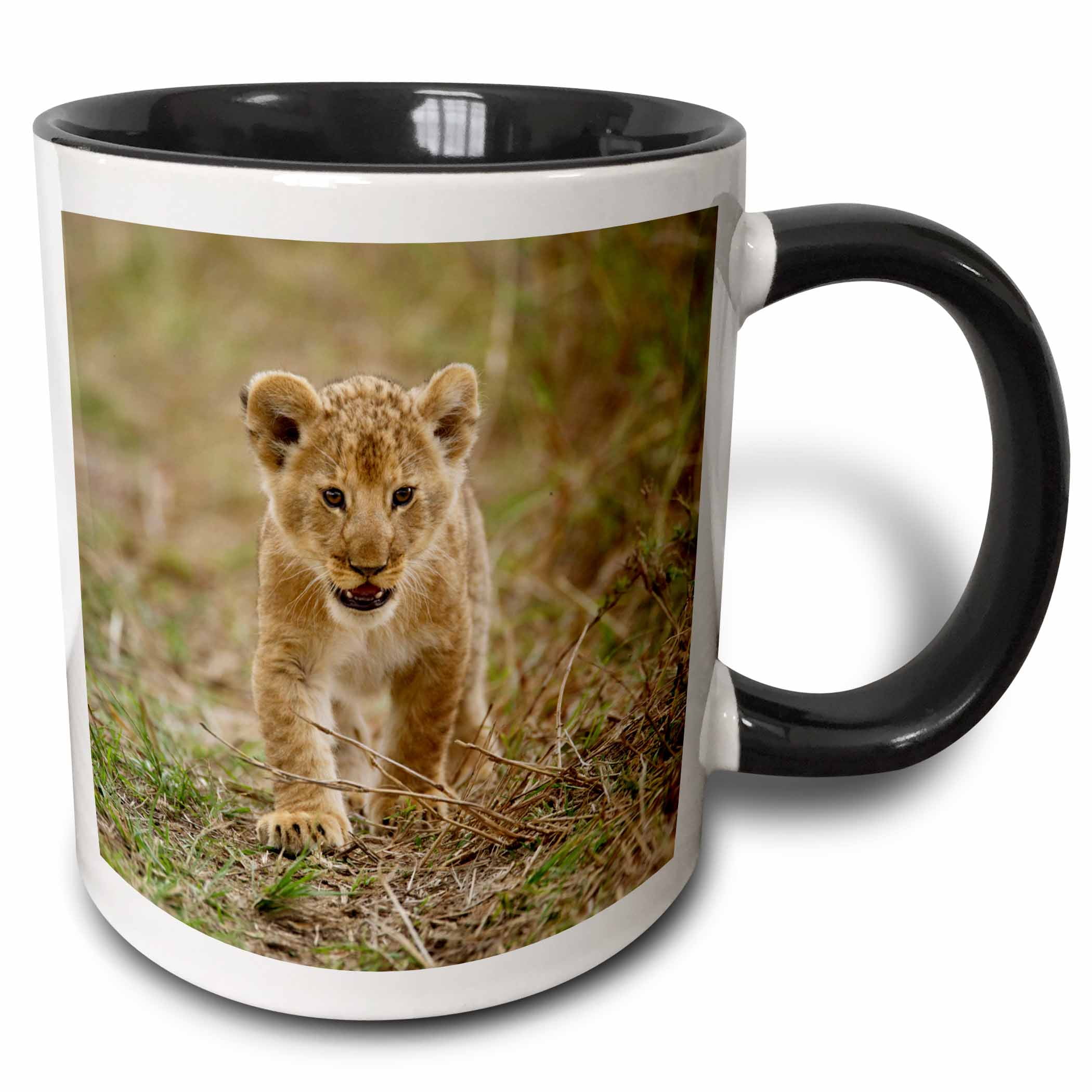 Young Lion Cub, Masai Mara Game Reserve, Kenya-Af21 Aje0494 - Adam ...