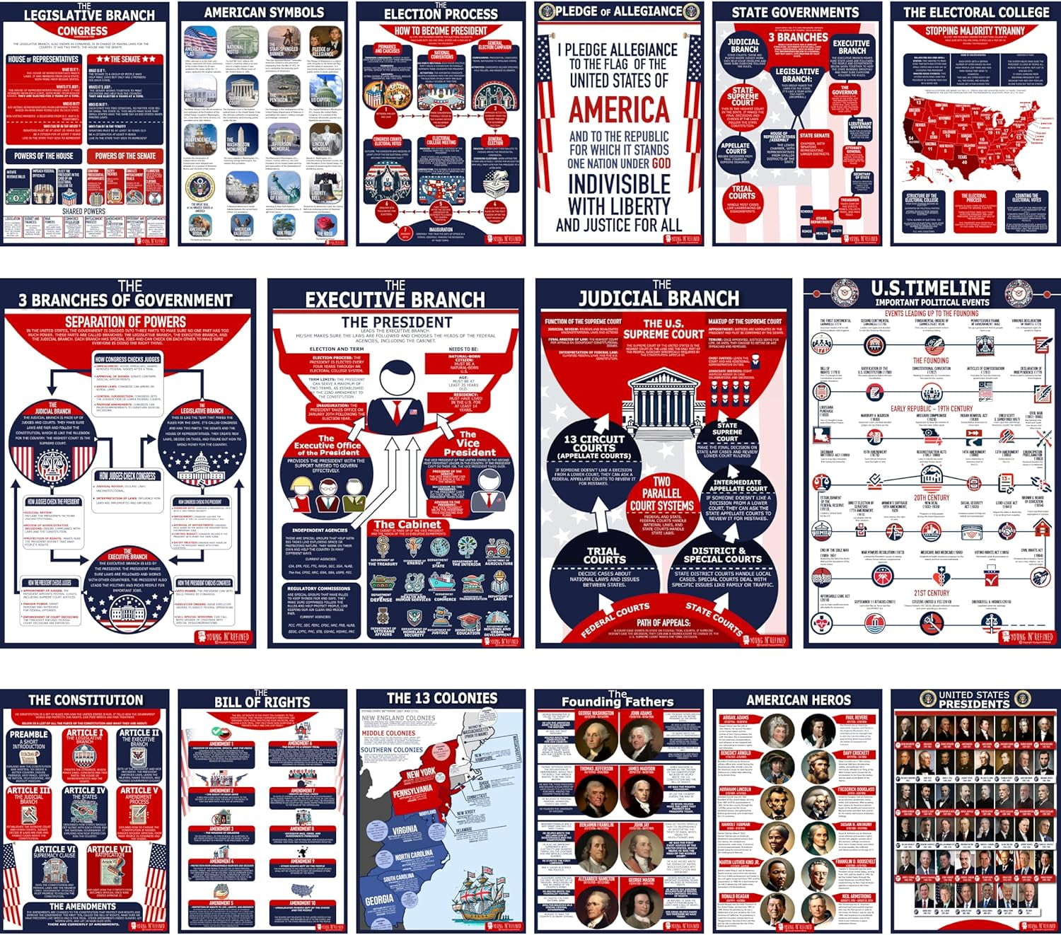 Young N Refined 16 US Government History LARGE poster pack Charts for ...