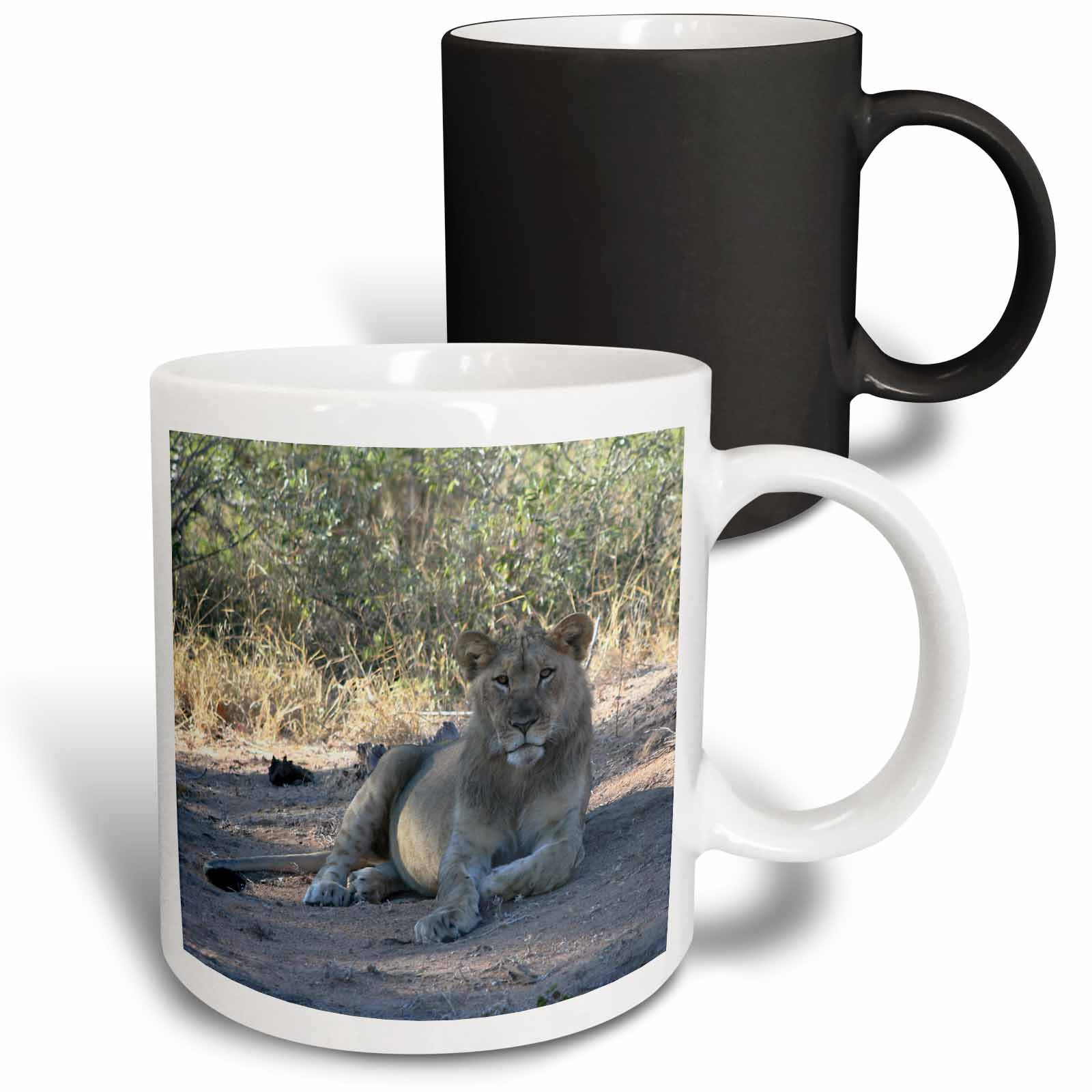 Young lion in the grass 11oz Magic Transforming Mug mug-26832-3 ...