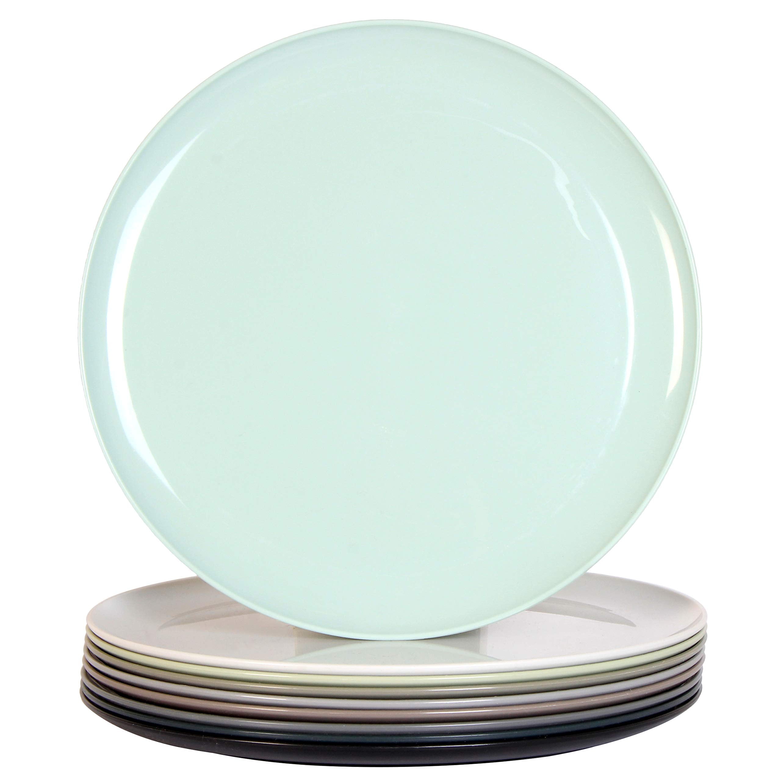 Youngever 10 Inch Plastic Plates, Large Plates, Dinner Plates, Set of 9 ...