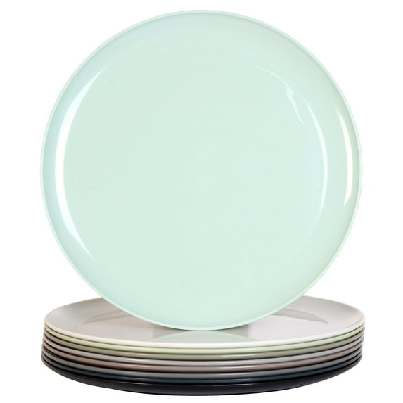 Youngever 10 Inch Plastic Plates, Large Plates, Dinner Plates, Set of 9 ...