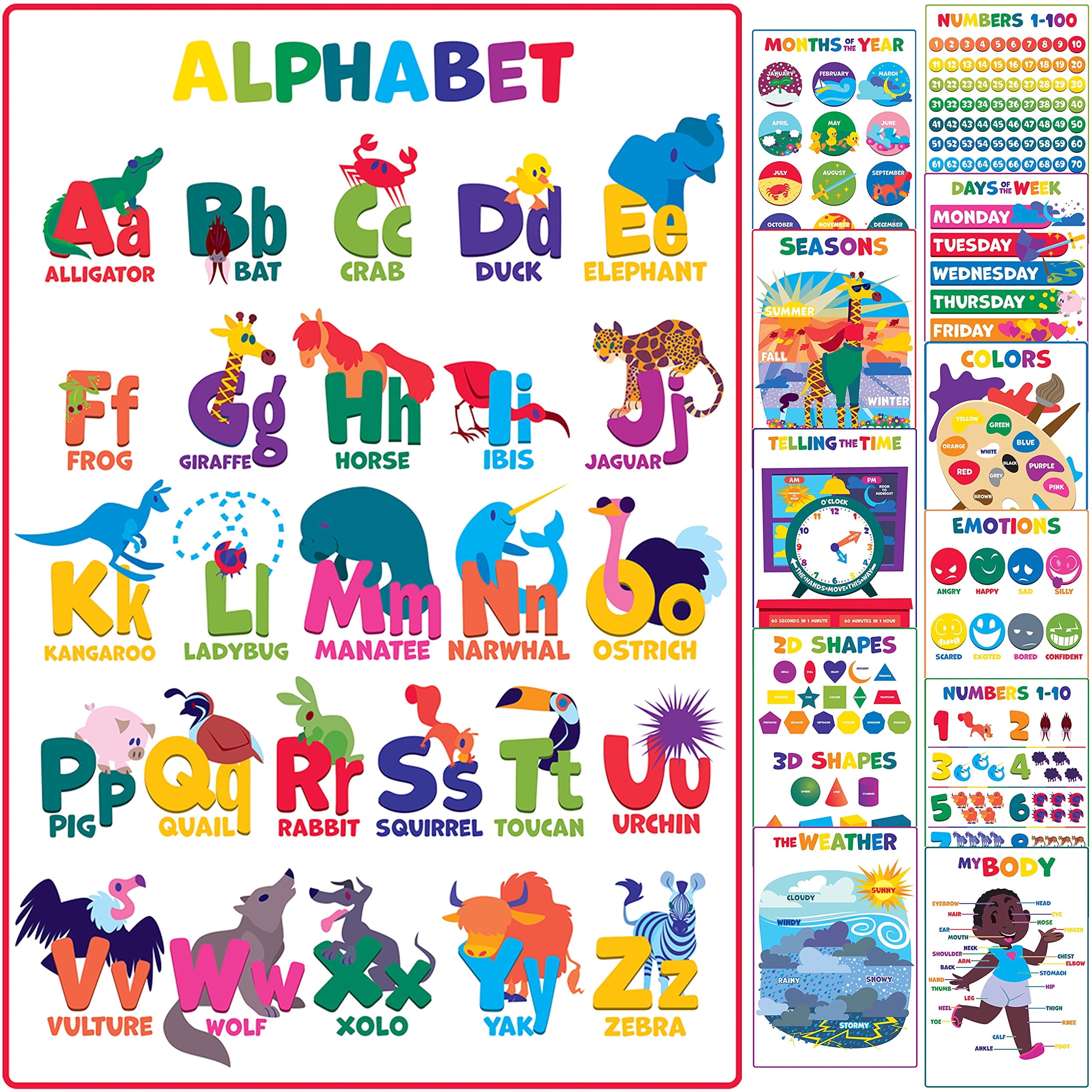Youngever 12 Pack Laminated Educational Preschool Posters for Toddlers ...
