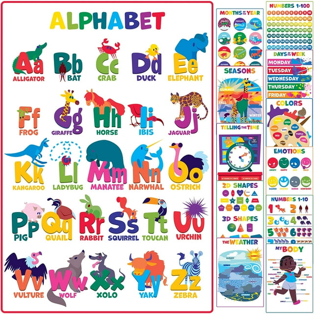 Youngever 12 Pack Laminated Educational Preschool Posters for Toddlers ...