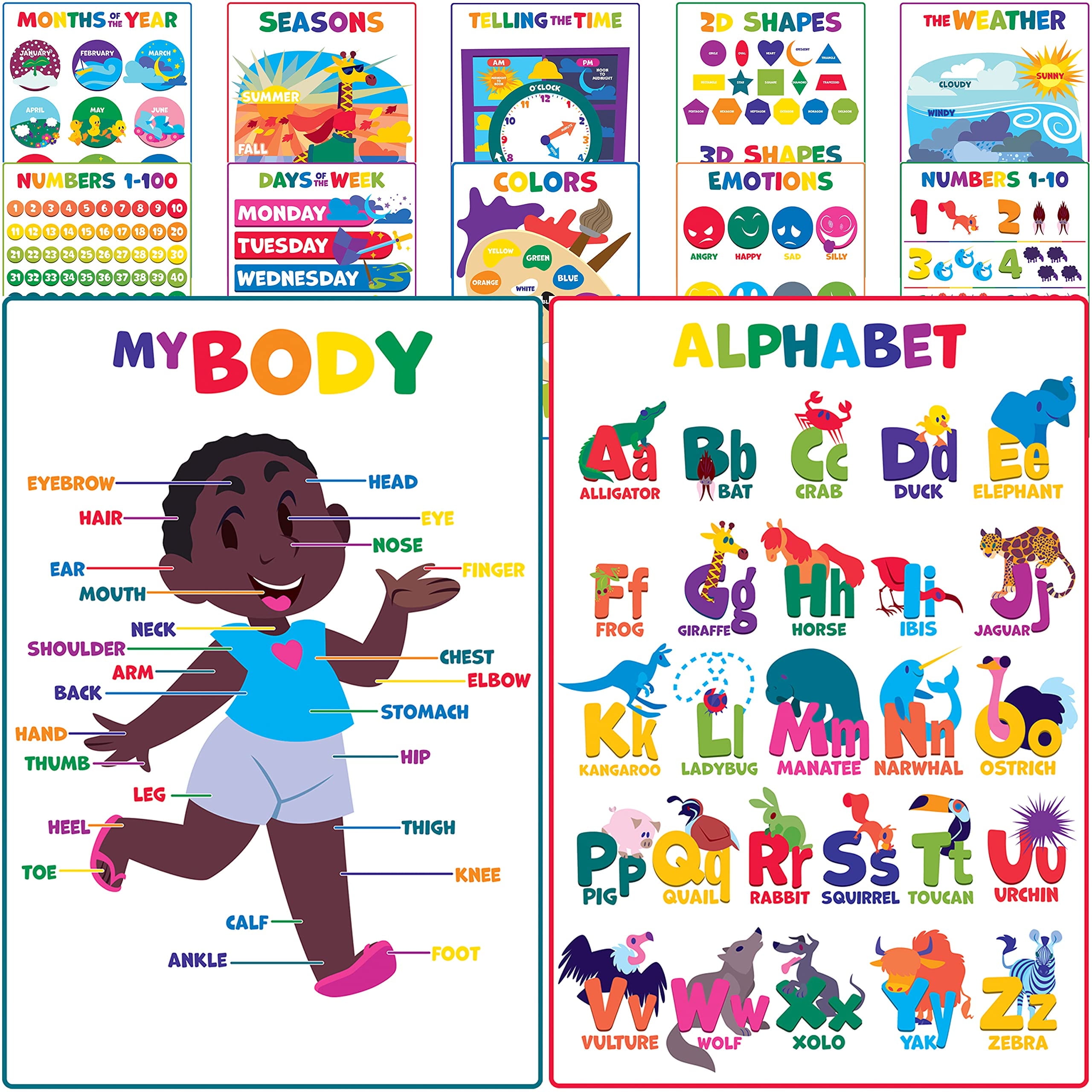 Youngever 12 Pack Laminated Educational Preschool Posters for Toddlers ...