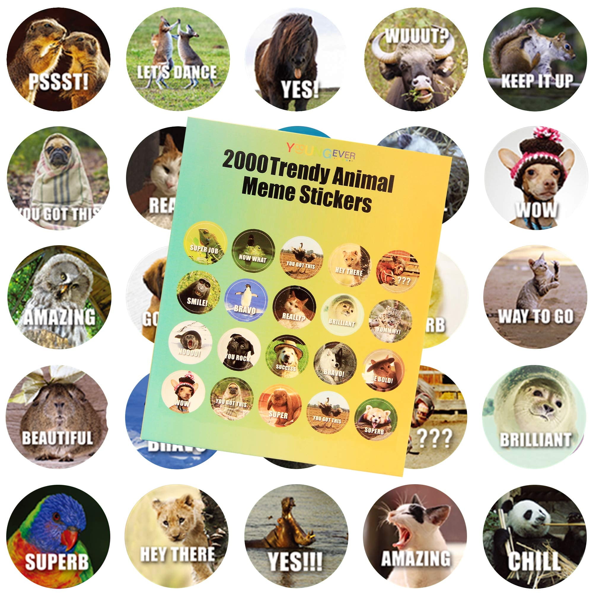Youngever 2000 Pack Reward Stickers for Teachers, Animal Meme Reward ...