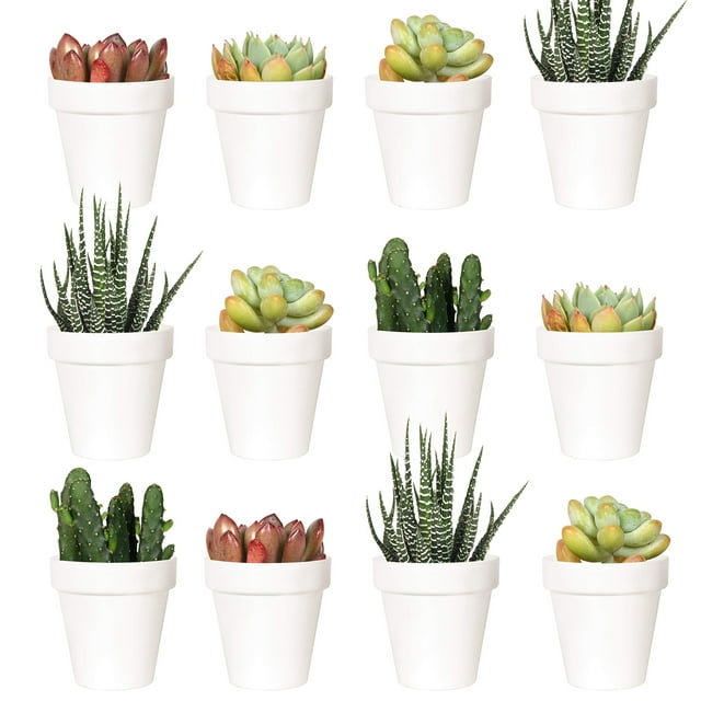Youngever 24 Mini Planters - Garden pots for garden centers - Walmart ...