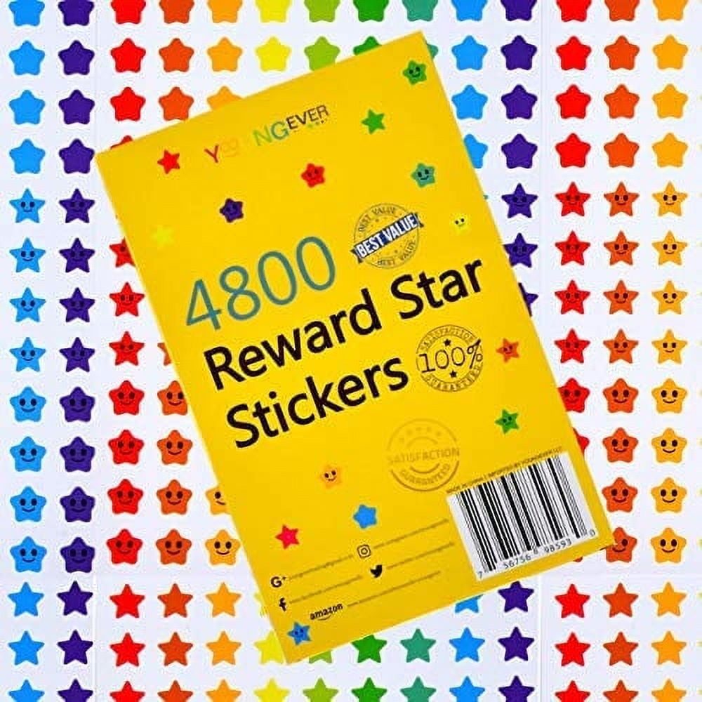Youngever 4800 Reward Star Stickers, 18 Designs, Star Labels for Kids ...