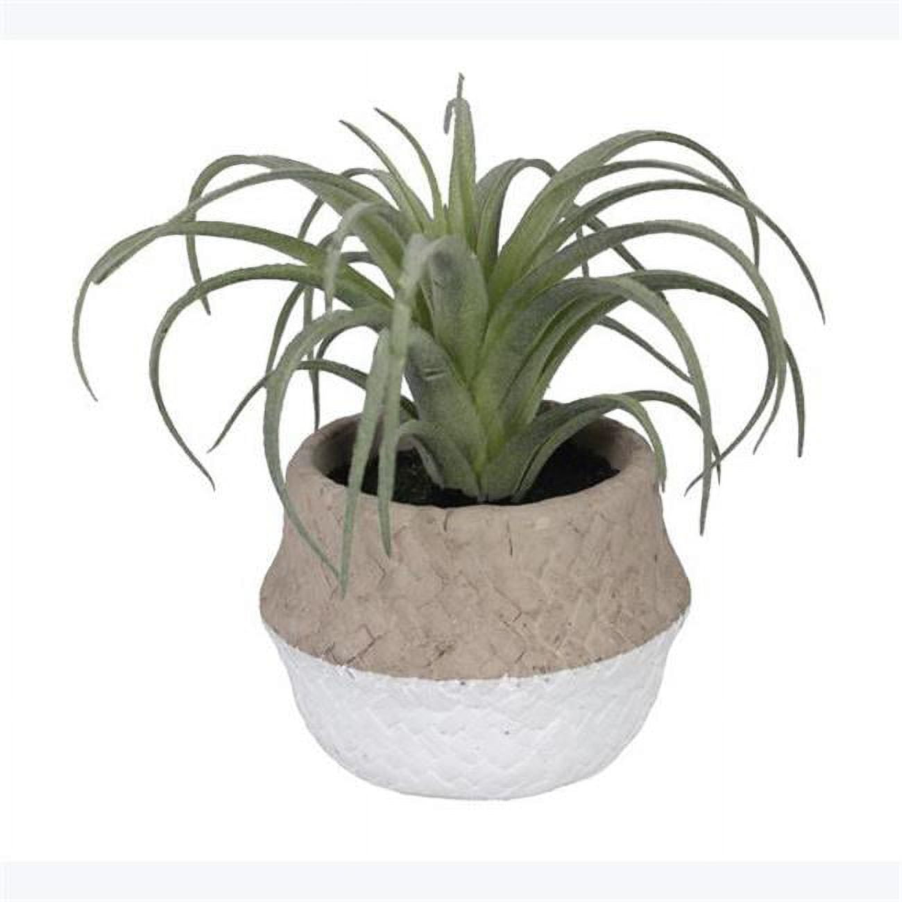 Youngs 12032 5.25 in. Artificial Air Grass Plant in Cement Pot ...