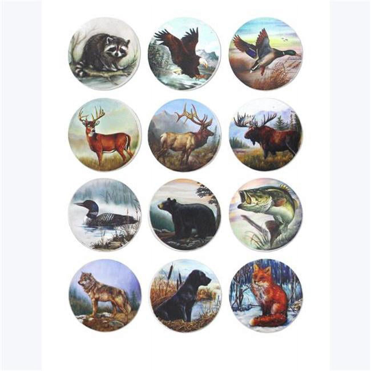 Youngs 12671 Resin Wildlife Magnet, 12 Assorted Style - Walmart.com