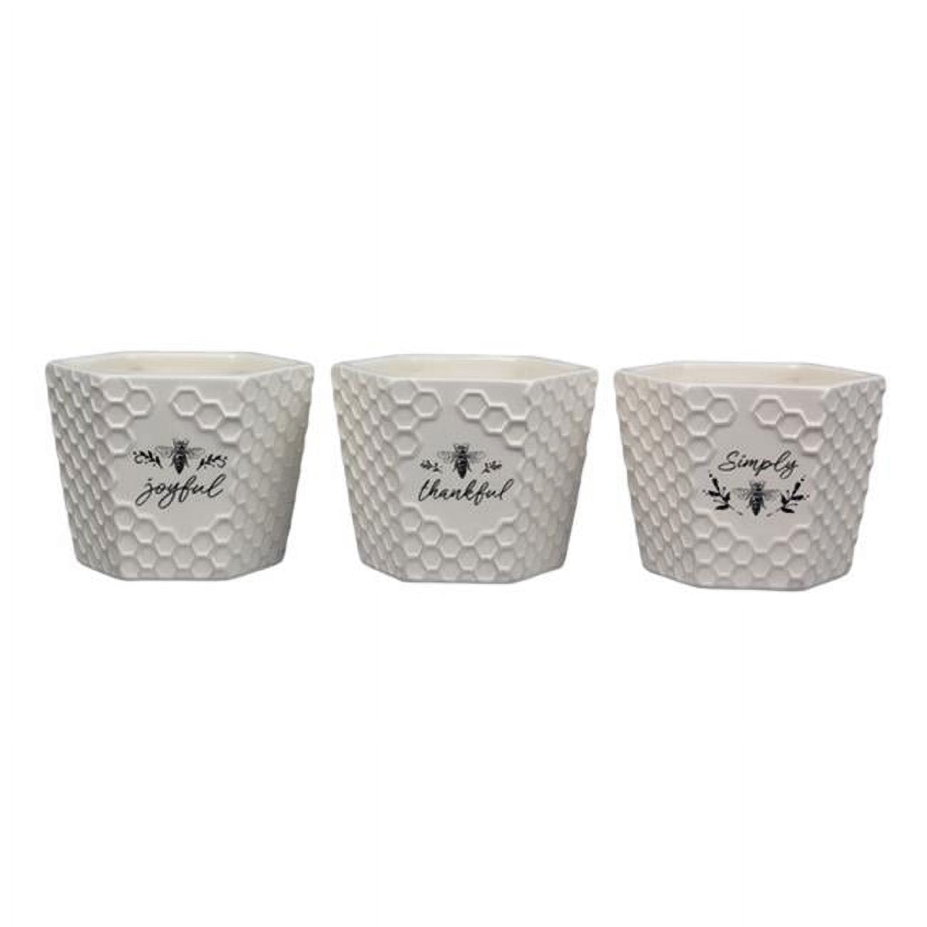 Rosemary Youngs Ceramic Bee Planters Set of 3, Honeycomb Design ...